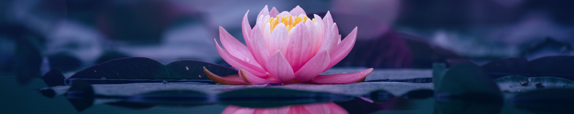 Masterclass with Kara Anthony: Phoenix Rising - Salt of the Earth